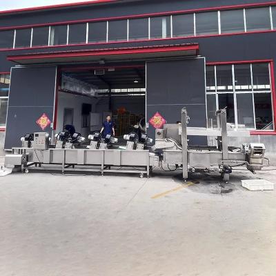 China Transportador industrial de cadeia plana personalizado de alta eficiência e baixo custo de operação à venda