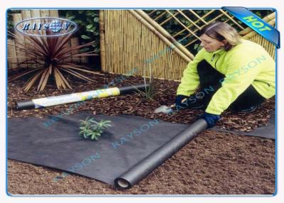 Cina prodotto non intessuto del paesaggio del nero 40gsm per la copertura del giardino, resistenza UV di 1.5% in vendita