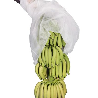 China Tampa não tecida girada respirável do grupo da banana da ligação na cor branca for sale