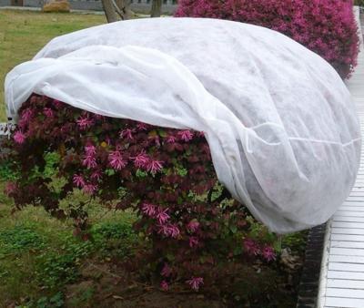 Cina Il giardino la copertura non tessuta del vello pp Spunbond di protezione antigelo su misura in vendita