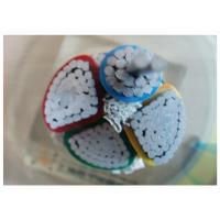 China Premium PVC Coated Copper Cables for Versatile Use for sale