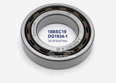 China DG1934-1 DG1934 18BSC19 auto steering bearings nylon cage deep groove ball bearings 18.72*33.8*7mm for sale