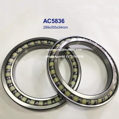 Cina Premium AC5836 Excavator Bearing for Hyundai R200 Excavator in vendita