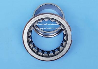 Cina F-571146.01 F-571146.01NJ cuscinetto per autoveicoli cuscinetto a rulli con anello interno 37*60*15,5/18 mm in vendita