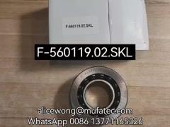 F-560119 F-560119.02.SKL Honda RAV4 differential bearings automatic differential bearing thrust angular contact ball bearing 31.1*64.3*23.5mm