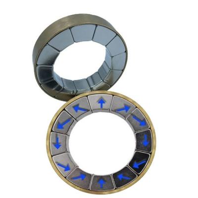 Cina Magnete N52 del neodimio di matrice di Halbach con materiale d'acciaio per il generatore in vendita