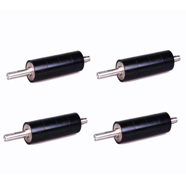 Conjunto magnético permanente de revestimiento de níquel industrial para motores de altas RPM
