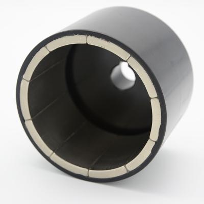 Cina Accoppiamento magnetico composito dei magneti permanenti del neodimio dell'alto grado in vendita