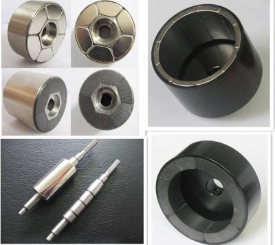 Cina Assemblea magnetica del neodimio di alto potere in vendita