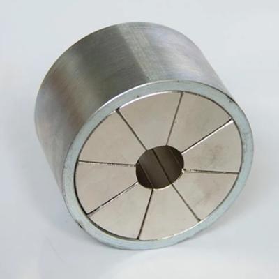 Cina Forte accoppiamento su misura di N48M Neodymium Permanent Magnetic in vendita