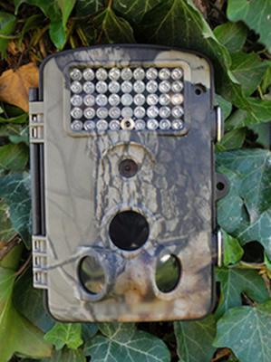 Cina 5 macchine fotografiche senza fili di caccia della fauna selvatica infrarossa mega dei pixel DVR trascinano le macchine fotografiche, 8 batterie AA di x in vendita