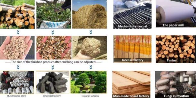 Wood Timber Mill Electric Serviceable Coconut Shell Wood Sawdust Crusher Machine