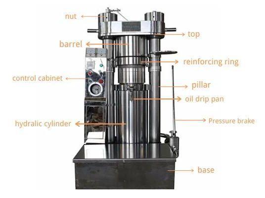 Stainless Steel Large Commercial Oil Extraction Machine Screw Avocado Oil Press Machine
