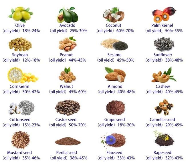 Oil Making Machine Hot Press Oil Extraction Machine Groundnuts Press Plant