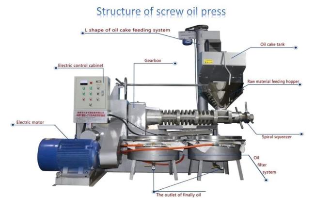 Screw Oil Press Machine and Extracting Sesame Macadamia Oil Press Machine Presser
