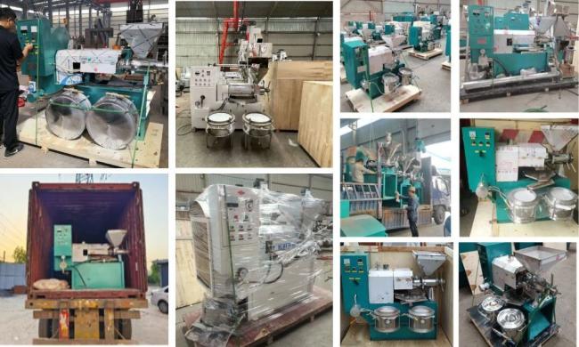 Electrical Cold Oil Press Machine and Cold Pressing Oil Machine with Filters