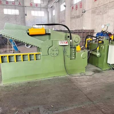 Cina Macchine per taglio di rottami di metallo idraulici alligatore rottami di alluminio rame di precisione in vendita