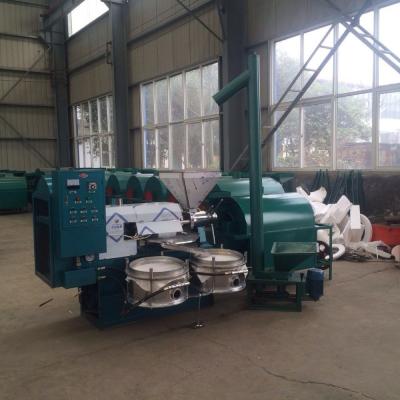 Cina 800 kg di confezione Peso lordo Avokado e olio di cocco pressati a freddo in vendita