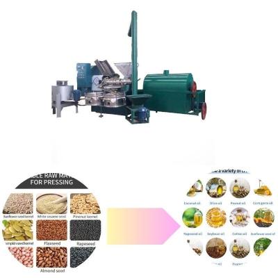 Cina Rivoluzionate la vostra produzione di olio con la nostra macchina per l'estrazione dell'olio d'oliva pressato a freddo in vendita
