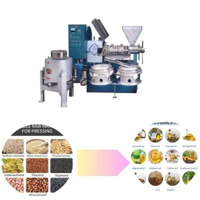 Cina Macchine per la stampa dell'olio di semi di sesamo di cotone Macchine per la produzione di semi di lino con personalizzazione in vendita