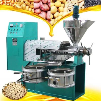 Cina Macchine per la stampa dell'olio di semi di sesamo di cotone Macchine per la produzione di semi di lino con personalizzazione in vendita