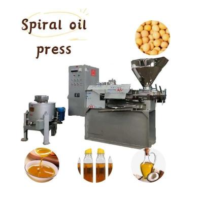 304 Stainless Steel Spiral Sesame Oil Extraction Machine for High Purity Oil Production