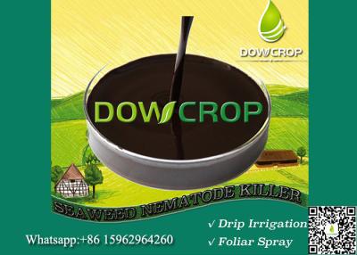 China SEAWEED NEMATODE KILLER FUNCTIONAL LIQUID for sale