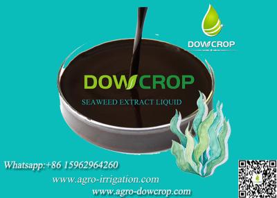 China SEAWEED EXTRACT LIQUID FERTILIZER for sale