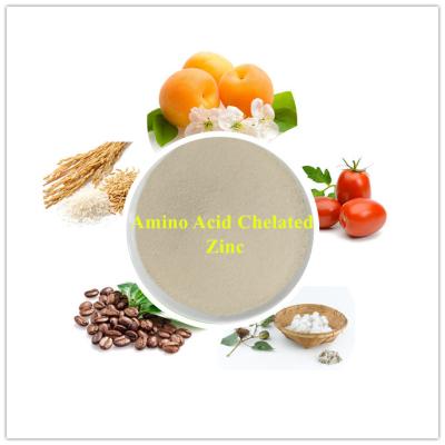 China DOWCROP HOT SALE HIGH QUALITY AMINO ACID CHELATED ZINC LIGHT YELLOW POWDER 100% WATER SOLUBLE FERTILIZER ORGANIC for sale