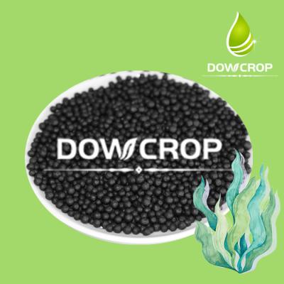 China HIGH QUALITY DOWCROP HOT SALE SEAWEED EXTRACT GRANULAR 100% WATER SOLUBLE FERTILIZER DARK BROWN ORGANIC FERTILIZER for sale