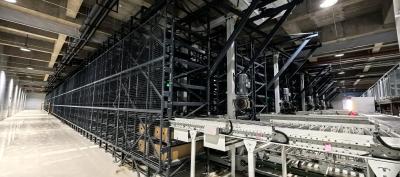Cina Focusight Sistema di Gestione del Magazzino Stereoscopico Floreale in vendita