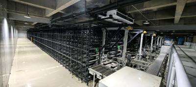 Cina Focusight Sistema di Gestione del Magazzino Stereoscopico Floreale in vendita