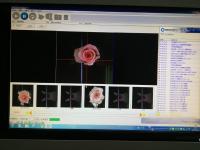 China Flower Sorting Automated Focusight Inspection Machine for sale
