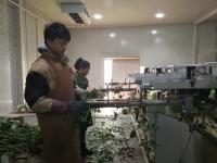 China Flower Sorting Automated Focusight Inspection Machine for sale