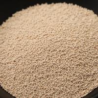China Catalyst Adsorbent Co2 Adsorption Zeolite Molecular Sieve 13X for sale
