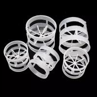 China Plastic Pp Pall Ring Plastic Pall Ring Pvdf Pvc for sale