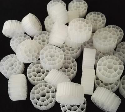 Cina Materiale di filtraggio per koi di plastica 25*10 mm per la rimozione di azoto da ammoniaca in vendita