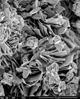 Cina Prezzo di fabbrica Seta molecolare SAPO-11 Zeolite Catalizzatore in polvere per cracking in vendita