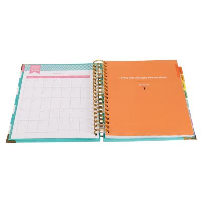 China Personalized Custom A5 Daily Agenda Planner 120GSM Journal Diary Notebook 1.2X4.5cm for sale