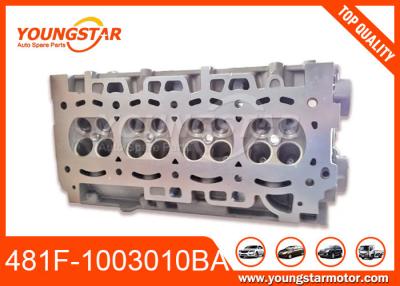 중국 체리를 위한 481F-1003010BA 엔진 실린더 MVM 530 판매용
