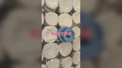 Opel Astra Chevrolet Captiva Crankshaft Sprocket