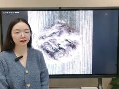 60D 훌륭함 인간이 만든 인조 섬유는 PP 스테이블 파이버를 회색으로 합니다