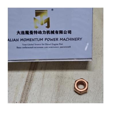 Cina DEUTZ BF4M2012 BF6M2012 Parti del motore Noce esagonale 0118 1684 0116 4582 0118 2036 01181684 01164582 01182036 in vendita