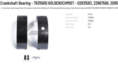 China 0.13 kg originele KS krukaslag voor klantenvereisten 79315610 KOLBENSCHMIDT 02931583 22967569 20850110 Te koop