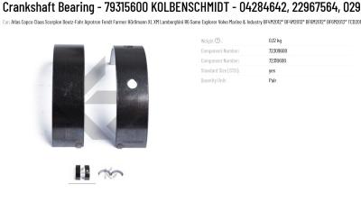 China 0.12 kg originele KS krukassenlagers 79315600 KOLBENSCHMIDT 04284642 22967564 02931580 voor machinewerkplaatsen Te koop