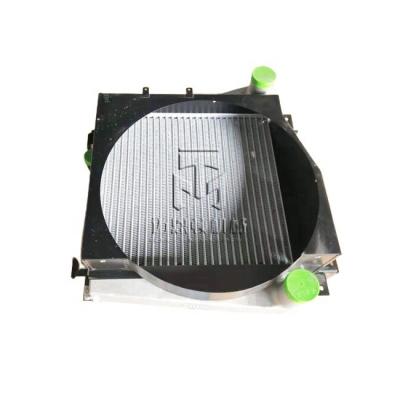 중국 냉각 시스템 04296387 04296211 04296207 0429 6387 0429 6211 0429 6207 4296387 4296211 4296207 deutz BFM2012 ENGINE 판매용