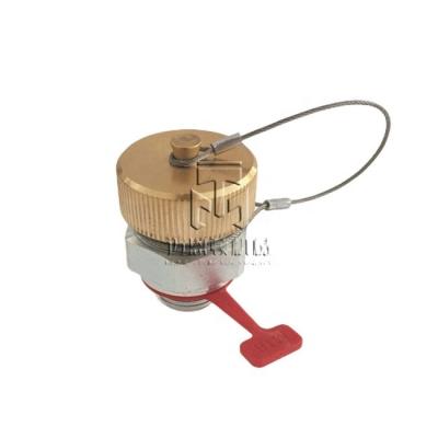 China Bloederventiel 04514867 0451 4867 4514867 voor deutz BFM1013 BFM2012 TCD2012 TCD2013 Motor Te koop