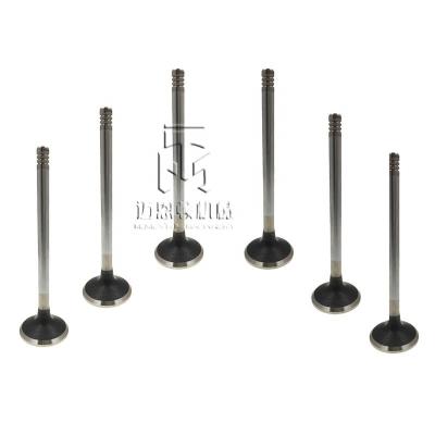 Cina Valvola d'ingresso Valvola di scarico 0420 9111 0425 5255 0428 3381 0428 9248 0425 5254 4209 111 4255 255 428 3381 4289 248 4255 254 20417 380 0420 9111 0425 5255 0428 3381 0428 9248 0425 5254 0428 3380 per D7D BFM1013 in vendita