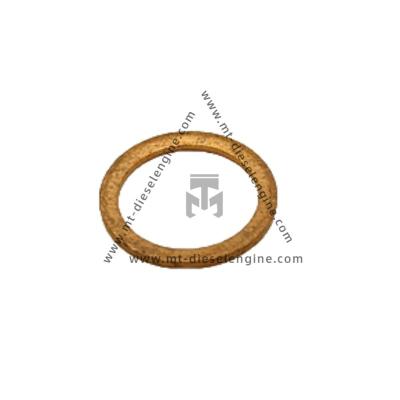 Cina Anello di tenuta per motore DEUTZ TD3.6 in vendita