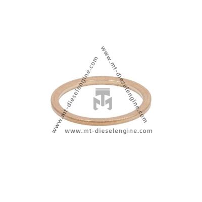 Cina Anello di tenuta per motore DEUTZ TD3.6 in vendita